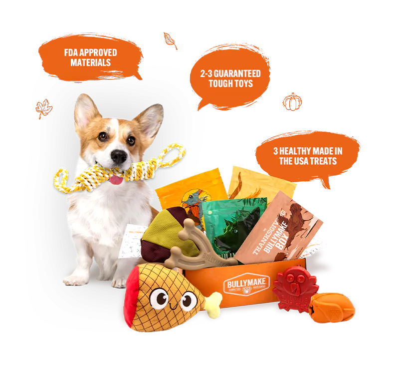 Bullymake Box - A Dog Subscription Box For Power Chewers!
