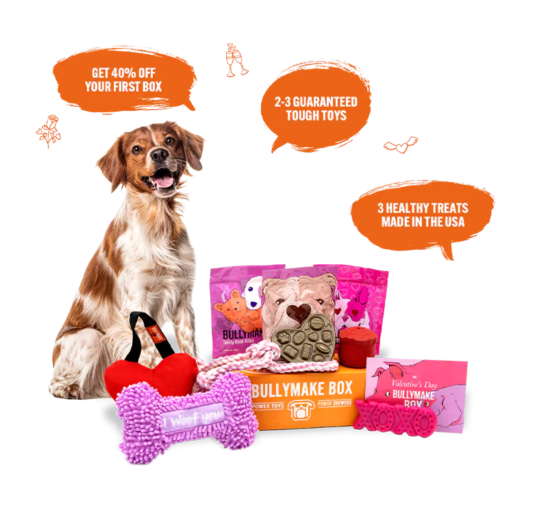Shop BULLYMAKE Indestructible Dog Toys for Tough Chewers