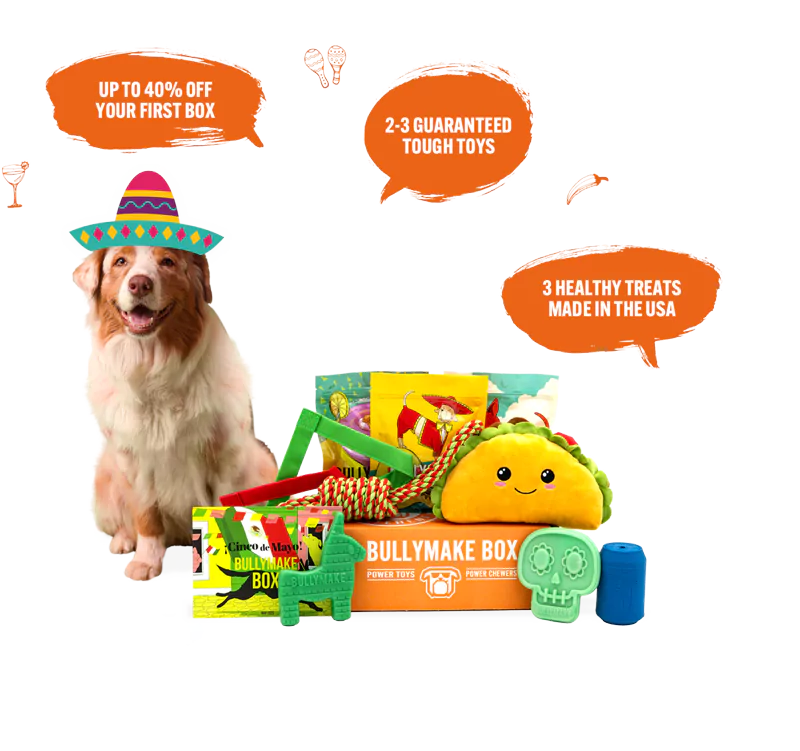 Shop BULLYMAKE Indestructible Dog Toys for Tough Chewers