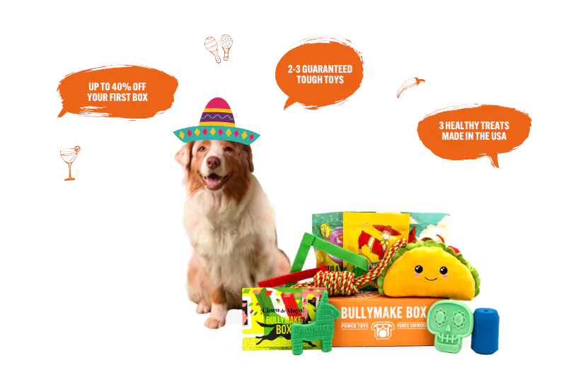 Shop BULLYMAKE Indestructible Dog Toys for Tough Chewers